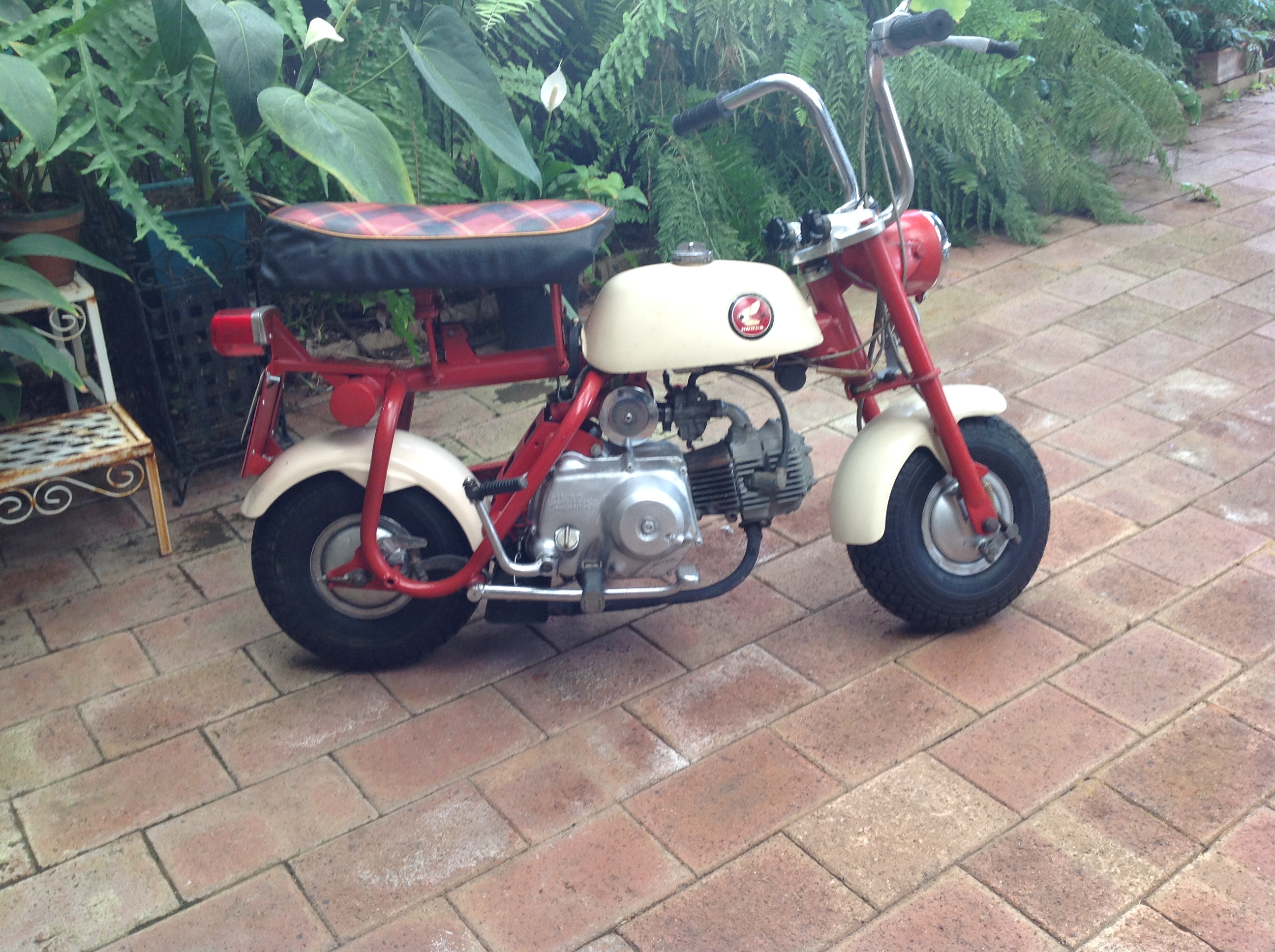 1967 HONDA Z50M MONKEY BIKE - JBW5089227 - JUST BIKES