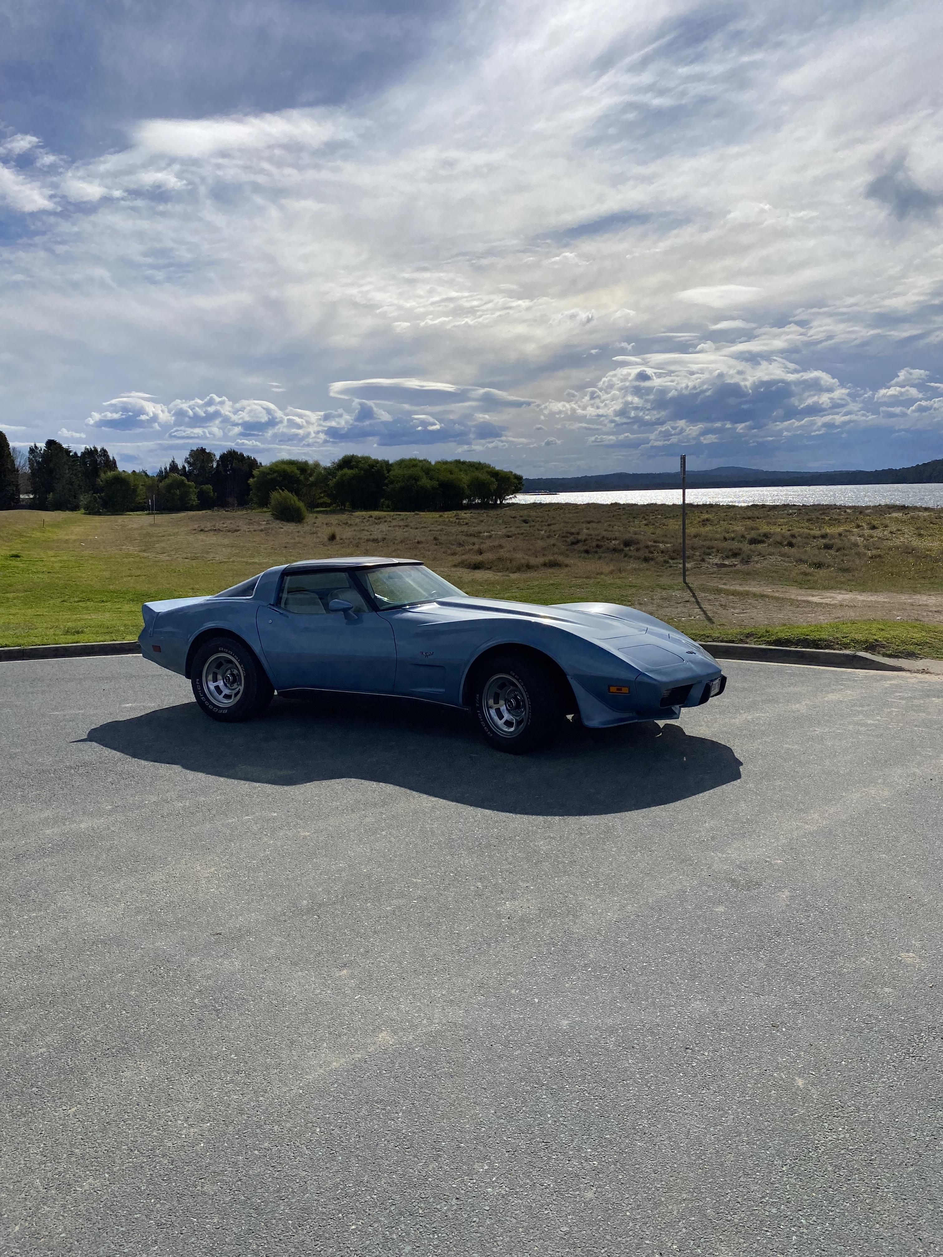 1979 CHEVROLET CORVETTE C3 COUPE - JCW5268046 - JUST CARS