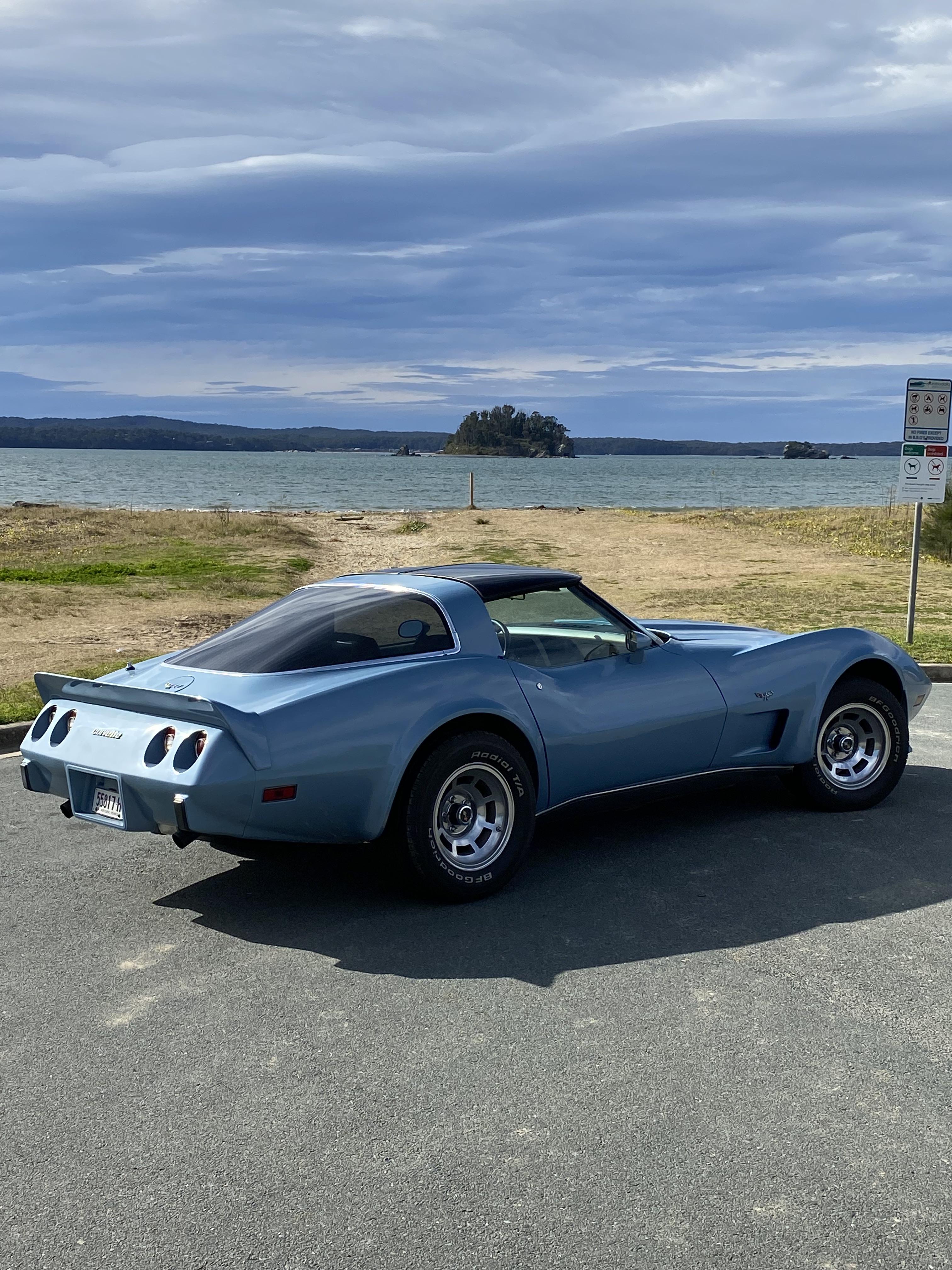 1979 CHEVROLET CORVETTE C3 COUPE - JCW5268046 - JUST CARS