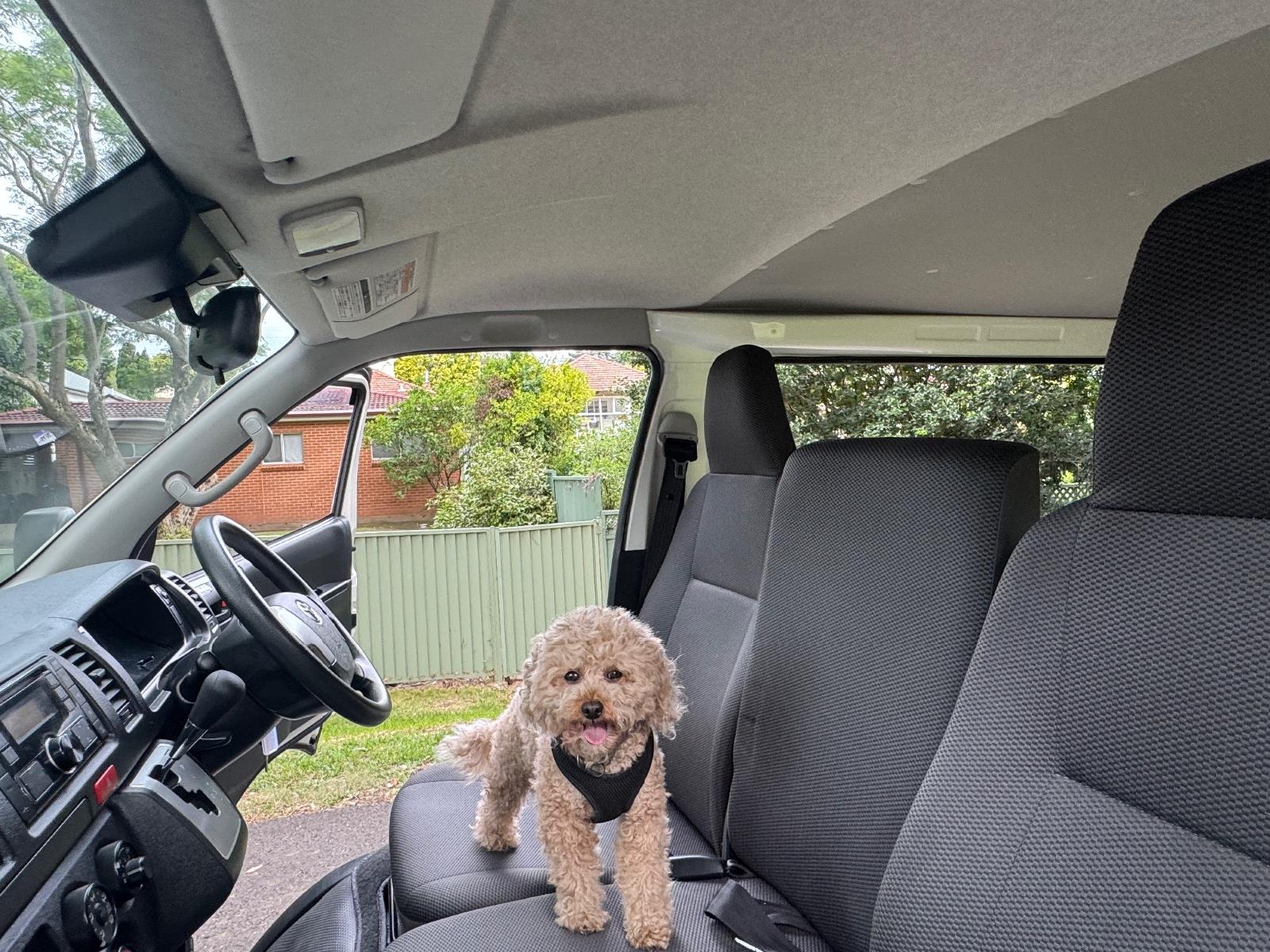 2020 TOYOTA HIACE 6 SP AUTOMATIC VAN - JCFD5323600 - JUST 4X4S