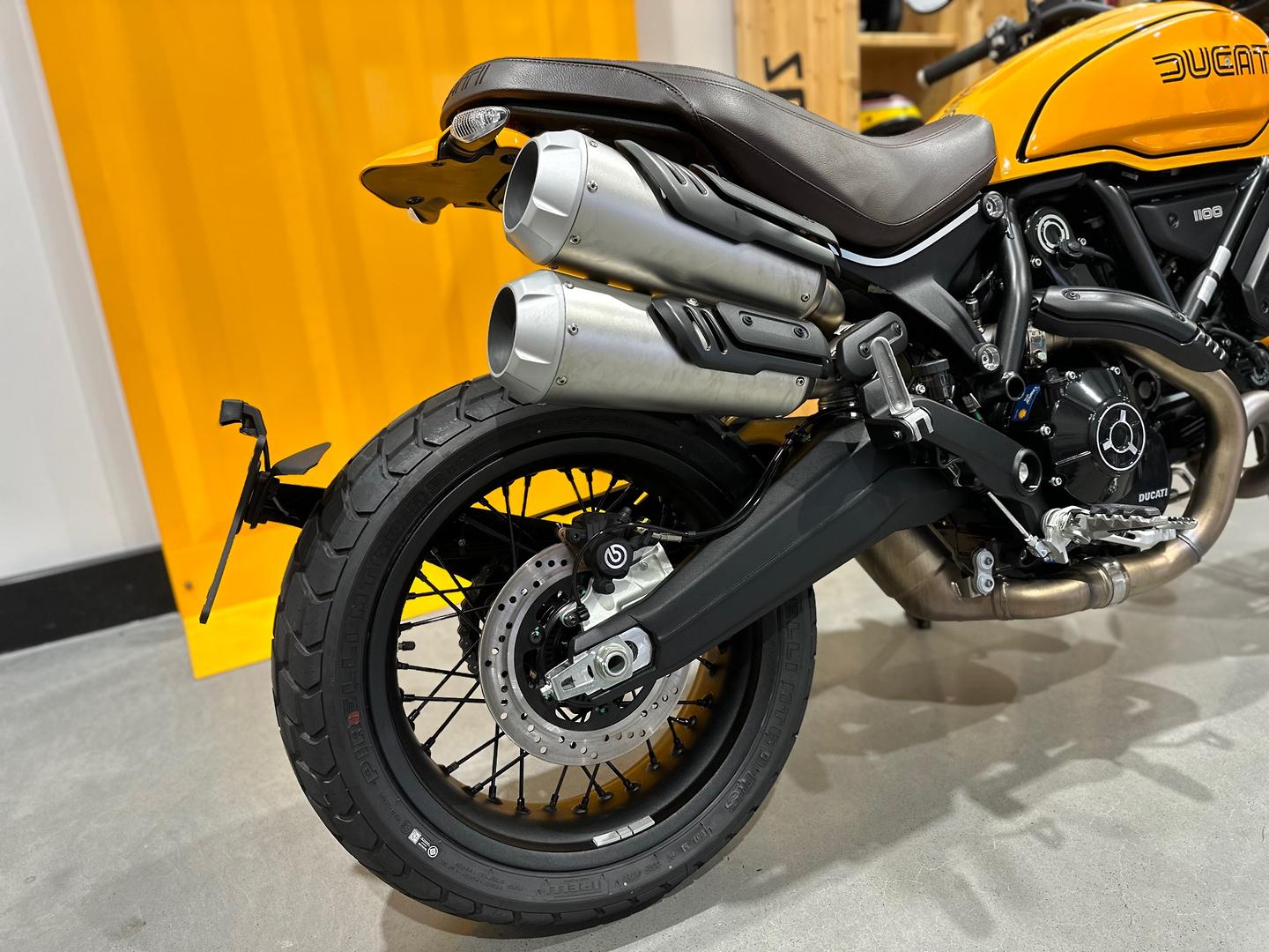 2023 DUCATI SCRAMBLER 1100 TRIBUTE PRO SPORTS - JBFD5250569 - JUST BIKES