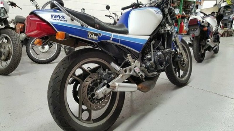 1984 YAMAHA RZ250RR Y346 - JCFD3785229 - JUST BIKES